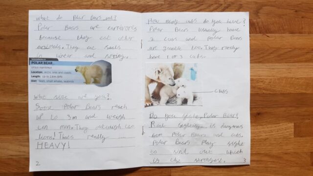 Izzy writing and topic – Park Grove Primary Academy